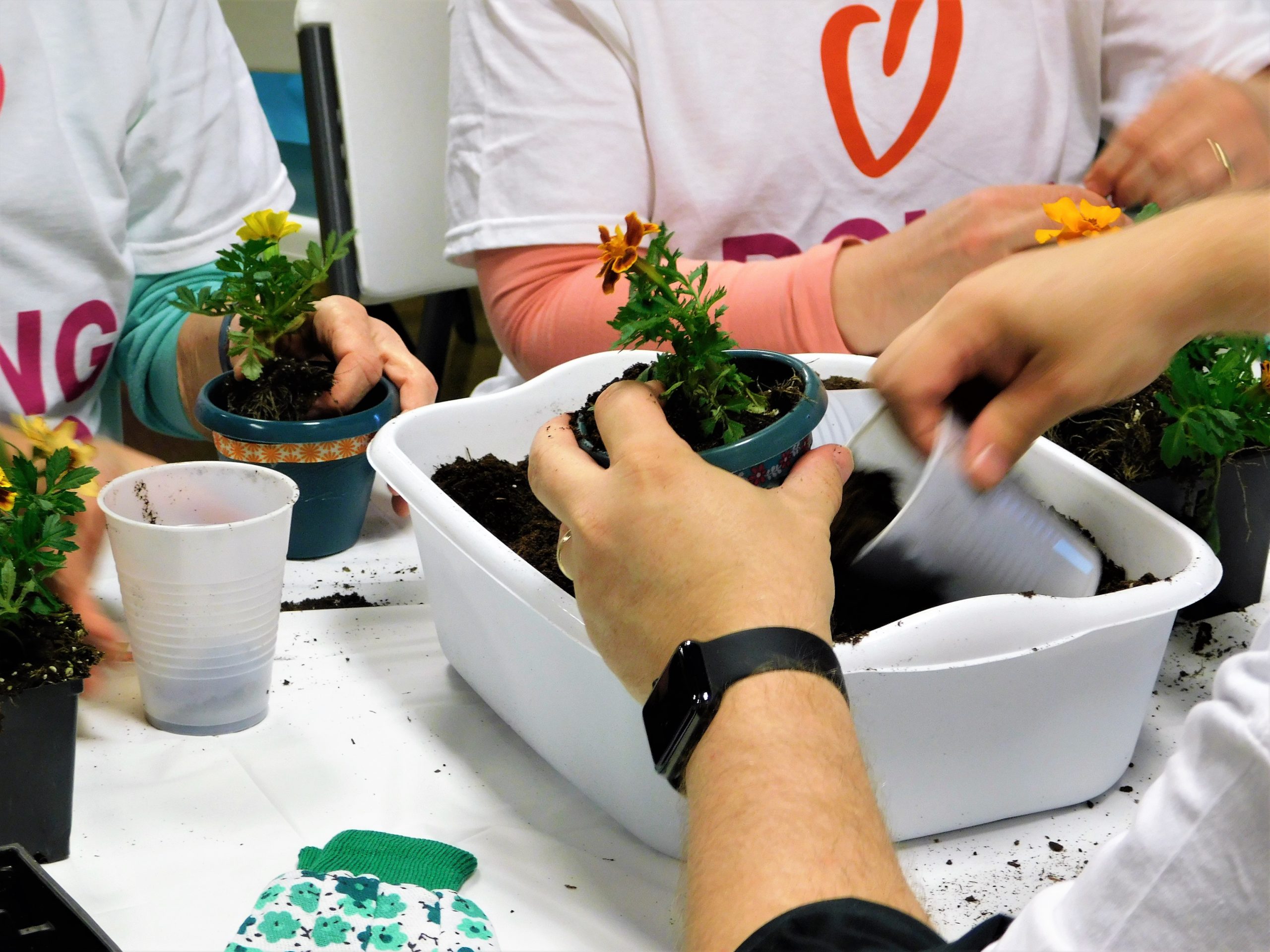 Hacer el Bien desde casa - Dia de las Buenas Acciones